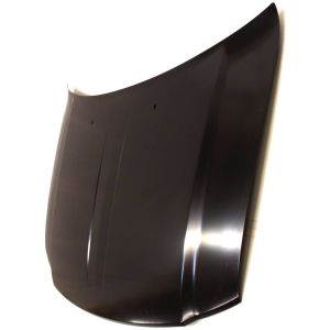 Dodge Trucks & Vans Painted Hoods